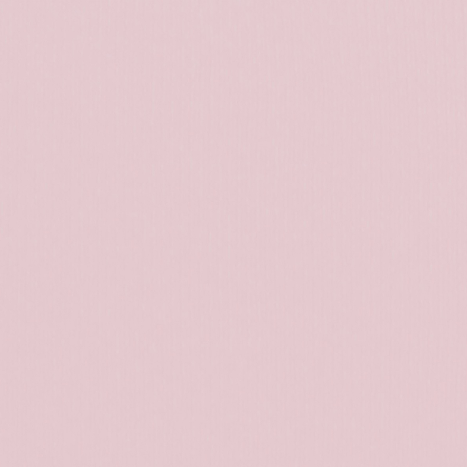 Cherilon เชอรีล่อน ถุงน่อง บัลเล่ต์ แฟชั่น เนื้อทึบ 40D กระชับ ซักไม่ย้วย MIX & MATCH กับชุดหลาก ...