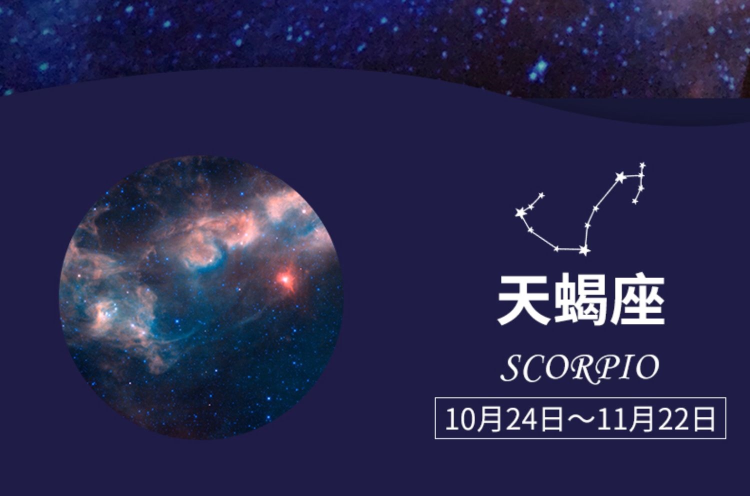 [COD] New HOMESTAR starry sky projector projection plate twelve ...