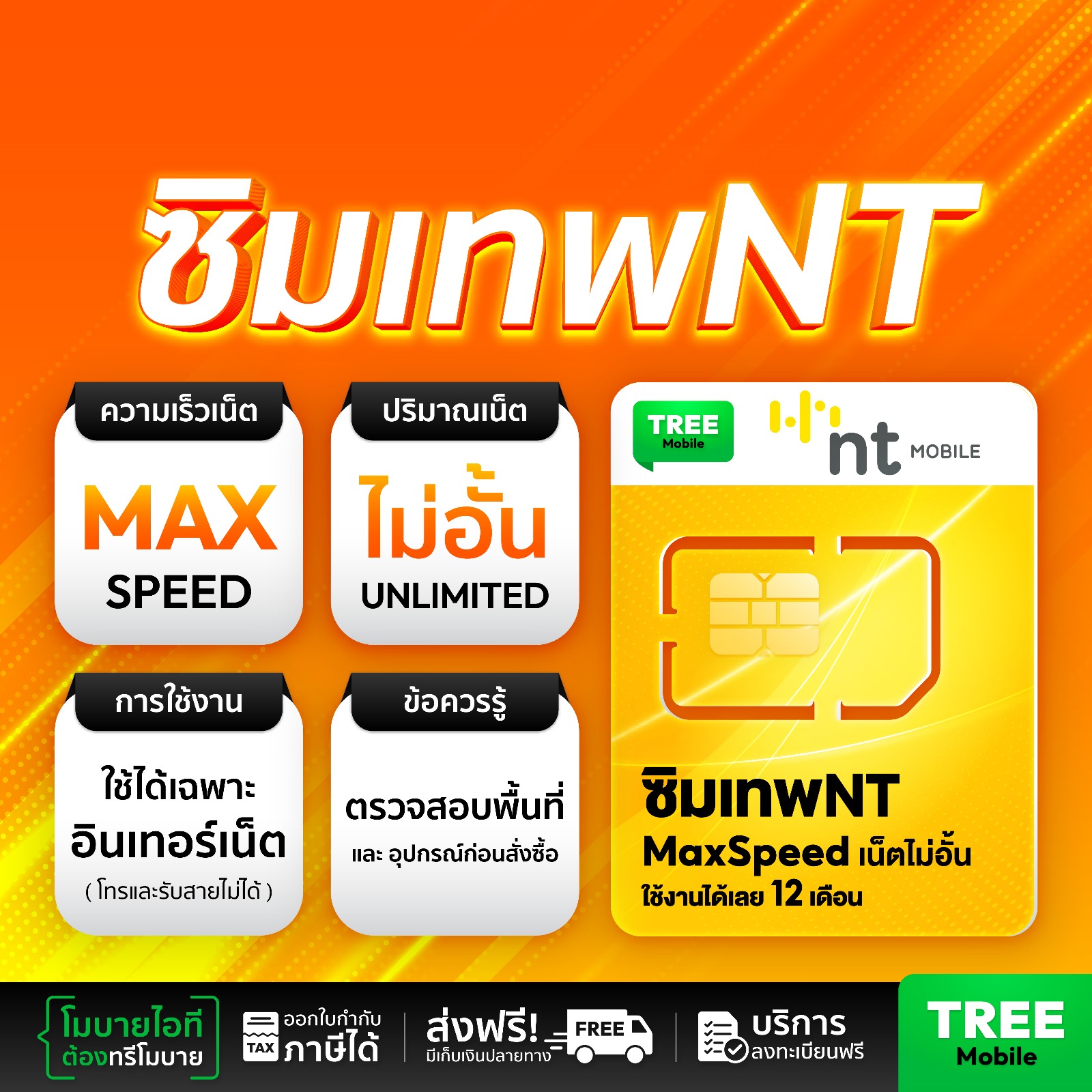 Sim Net ราย ปี Dt ราคาถูก ซื้อออนไลน์ที่ - ก.ค. 2024 | Lazada.co.th