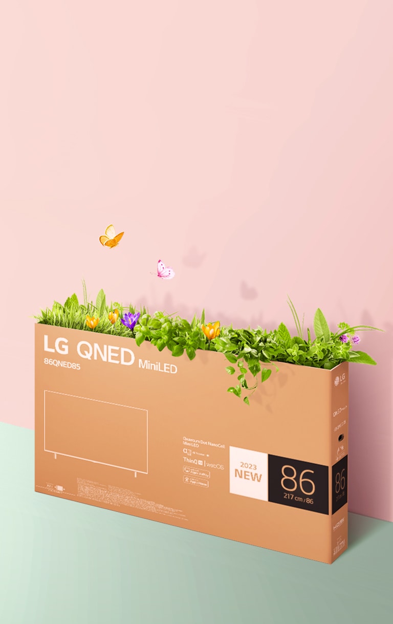 LG QNED 4K Smart TV Qua LG ThinQ AI 55 นิ้ว รุ่น 55QNED75SRA