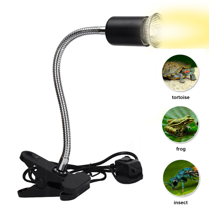 Lizard House ราคาถูก ซื้อออนไลน์ที่ - มิ.ย. 2024 | Lazada.co.th