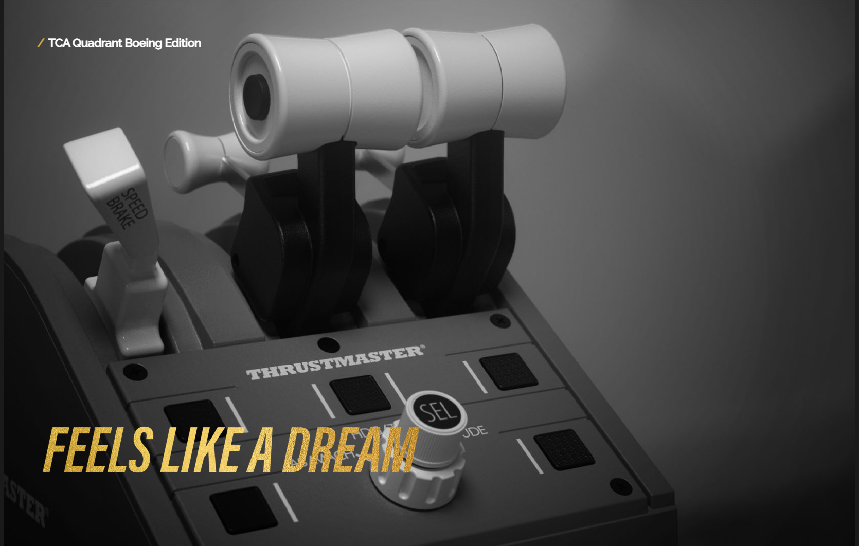 ThrustMaster Joy-Stick ADD-ON [4060219] TCA Quadrant Boeing Edition ...