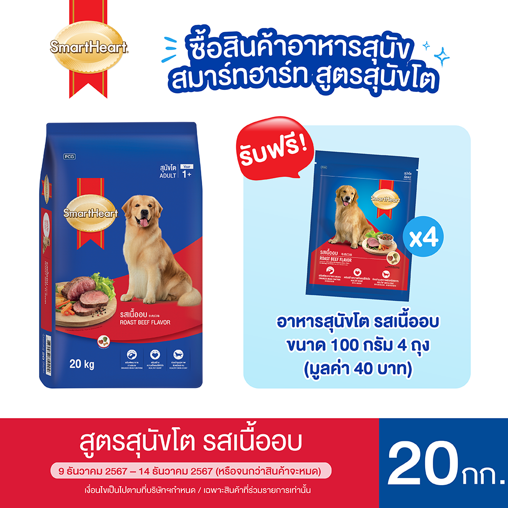aff1cdc550a7015056b40e87dd48a70e.png