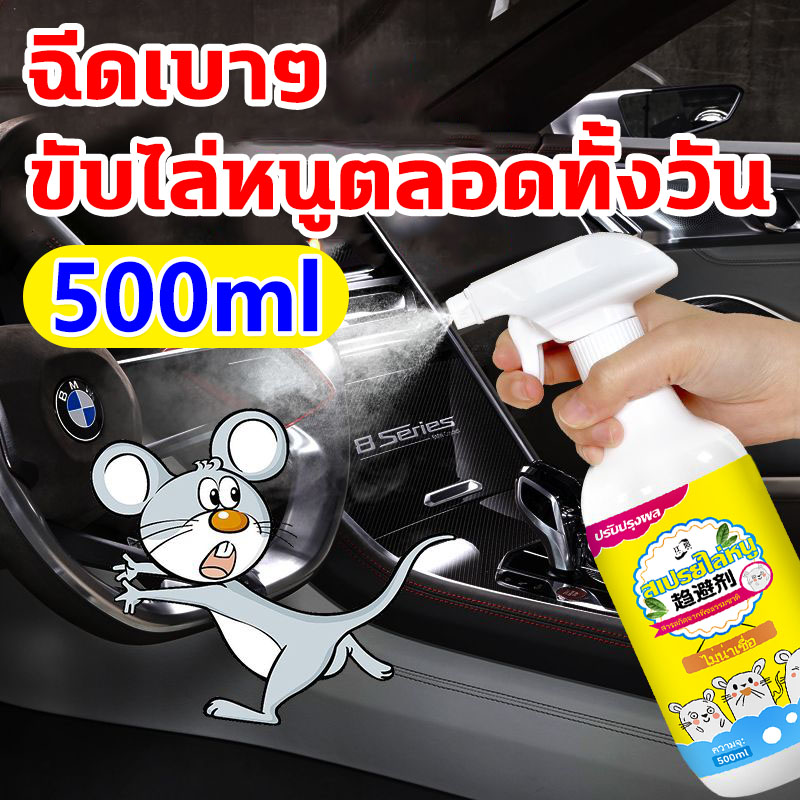 หนัง Lizard ราคาถูก ซื้อออนไลน์ที่ - มิ.ย. 2024 | Lazada.co.th