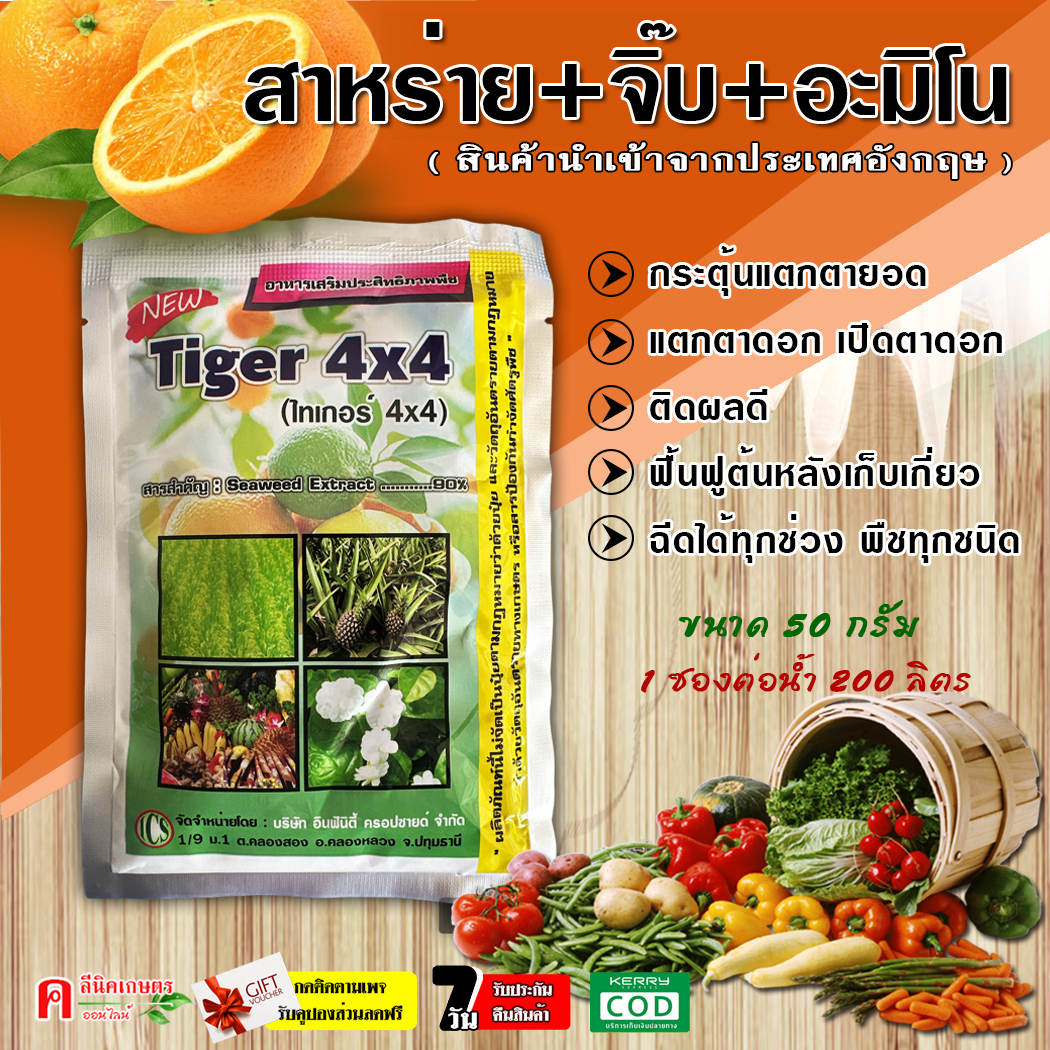 fd0cfc672c76a3ef19041f57172640b3.jpg
