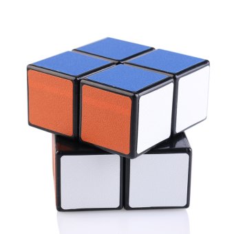 Shengshou Second Order Rubik's Twist Magic Cube Speed Cube Puzzle ...